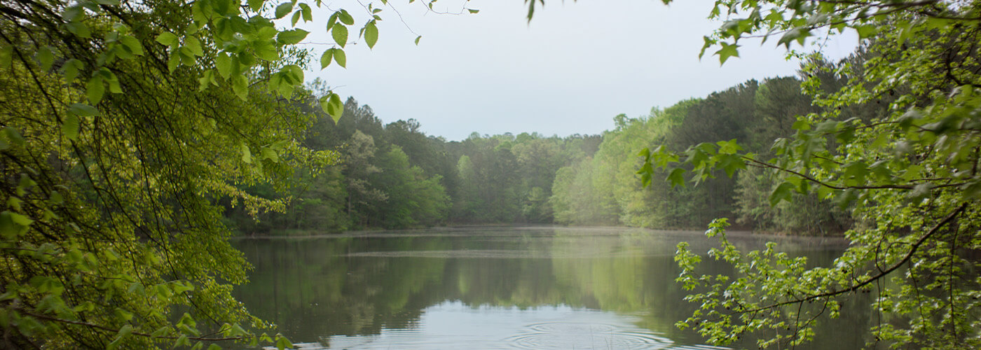 About Us | Company History & Partners | Nature Valley